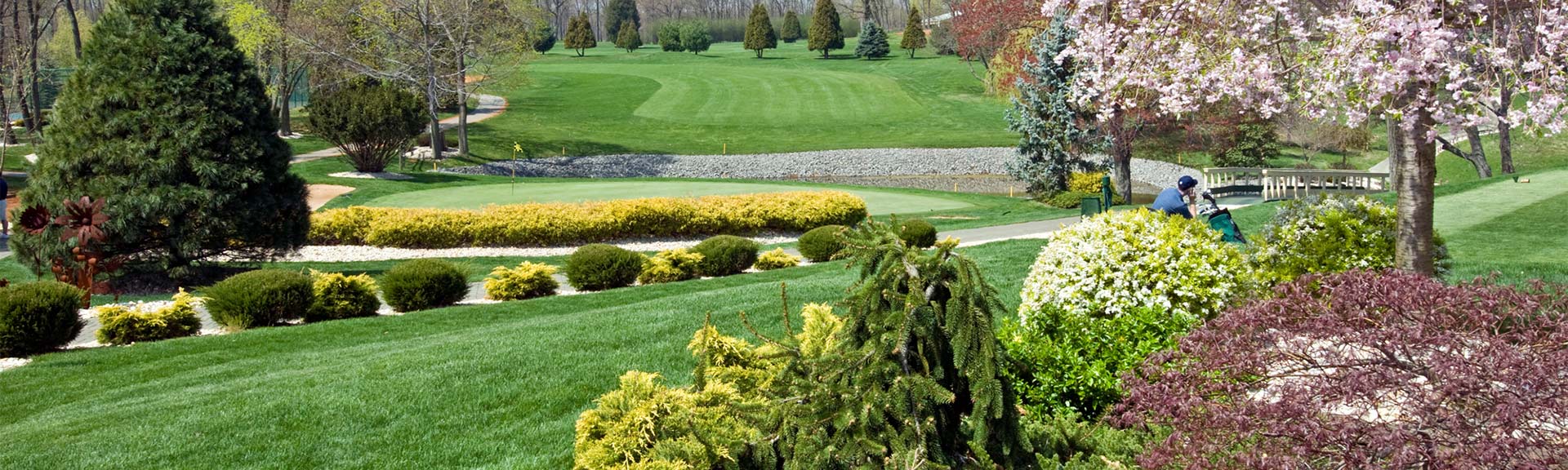 BASF Turf | Finale® Herbicide