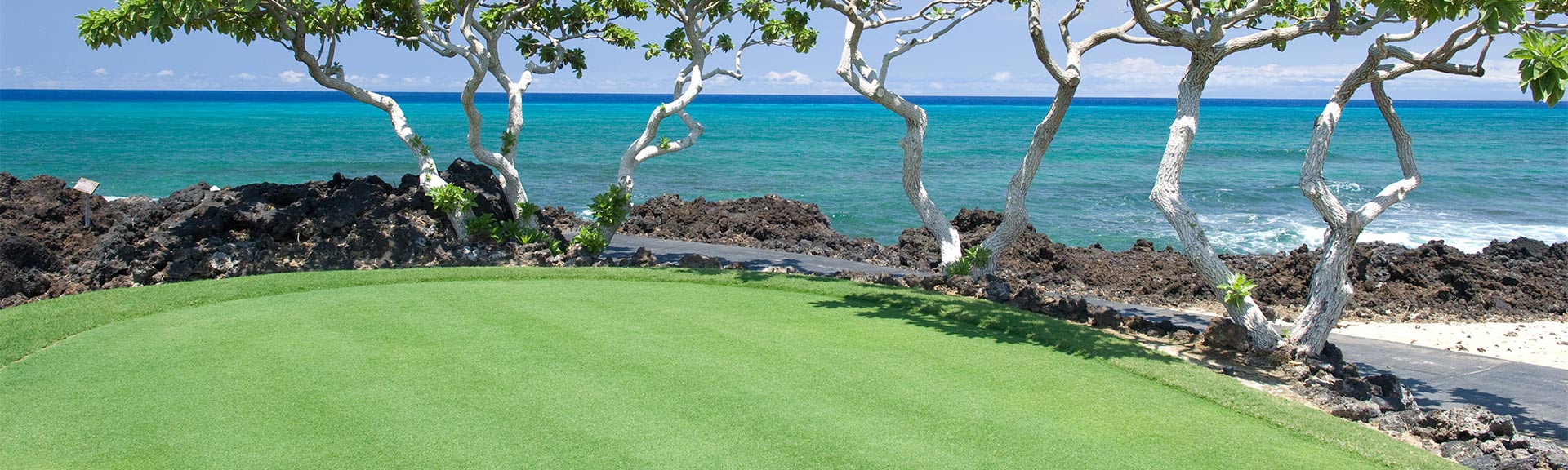 BASF Professional Turf and Landscape | BASF Turf Care News and Events