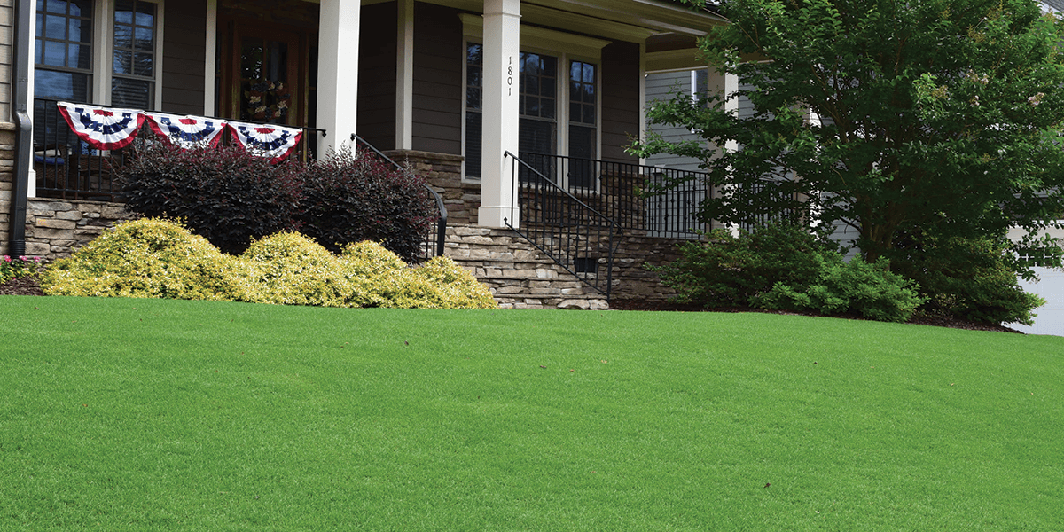 BASF Better Turf | Home